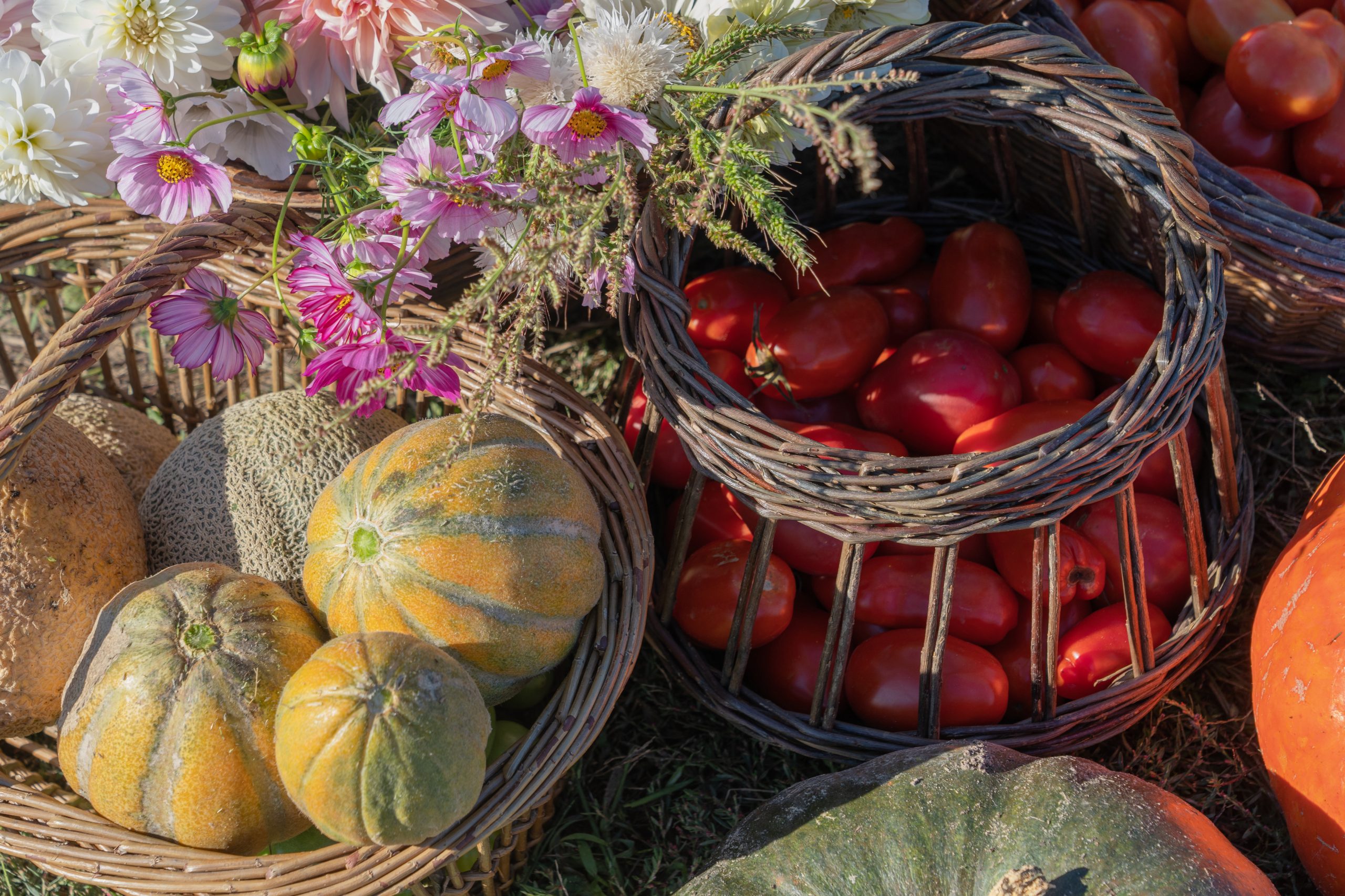 Plan du site | Les Jardiniers - Restaurant potager