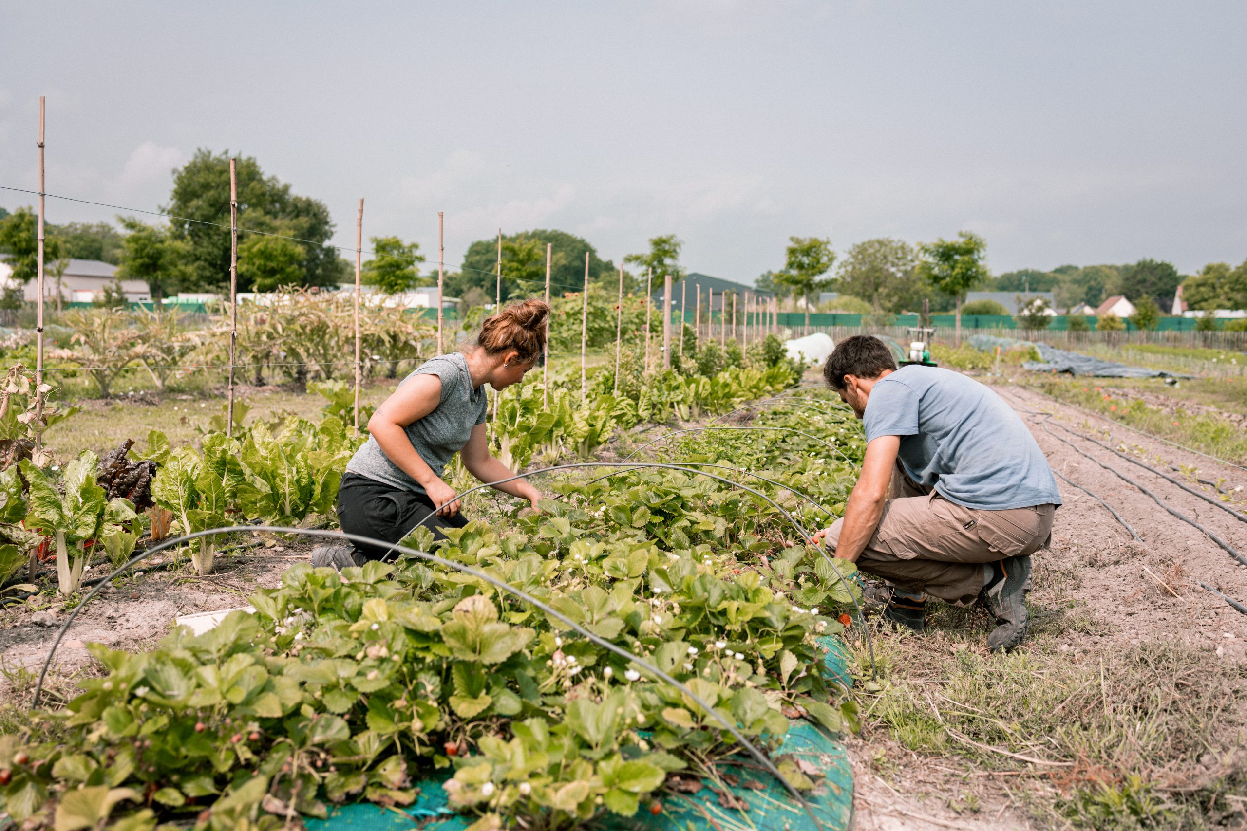 Nos engagements | Les Jardiniers - Restaurant potager